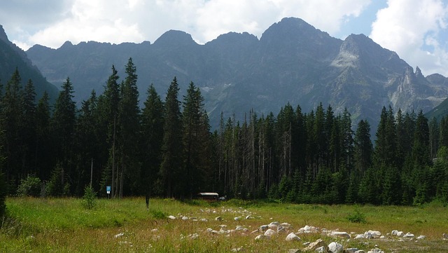Pologne Tatry Montagnes - Photo gratuite sur Pixabay - Pixabay