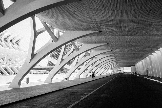 Calatrava Valence Arts Et Des - Photo gratuite sur Pixabay - Pixabay