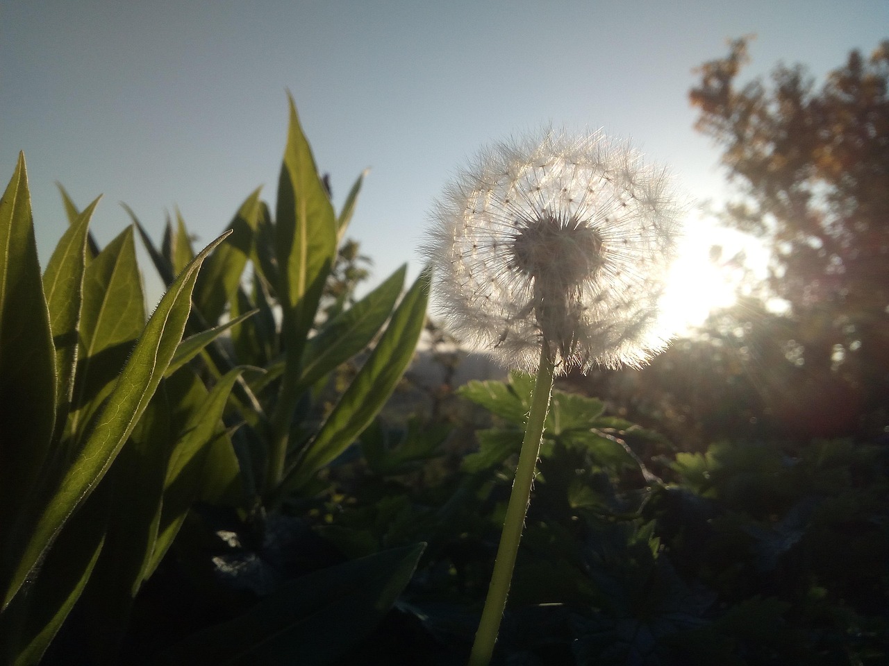90+ Free Reiki & Meditation Images - Pixabay