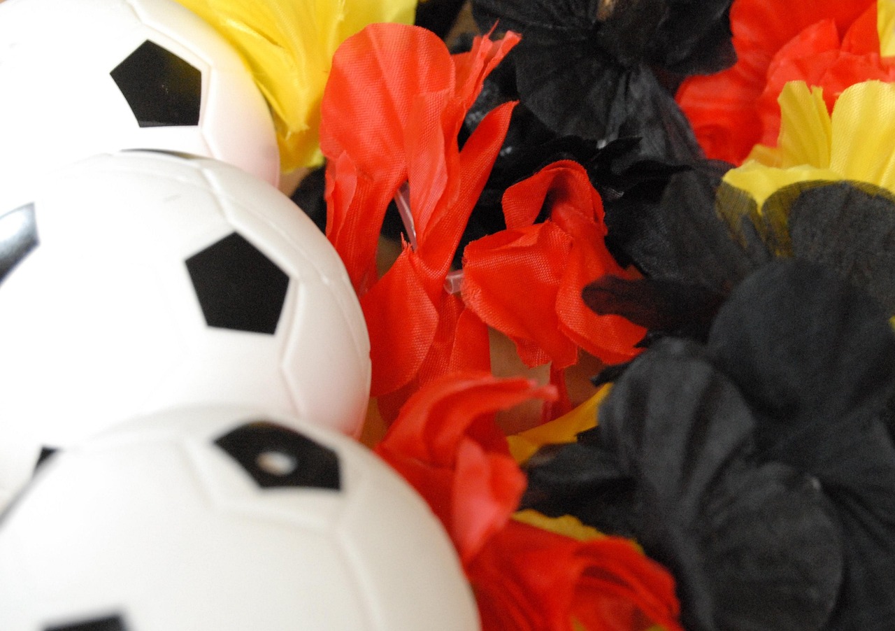 Fútbol Alemania Campeonato Del - Foto gratis en Pixabay - Pixabay