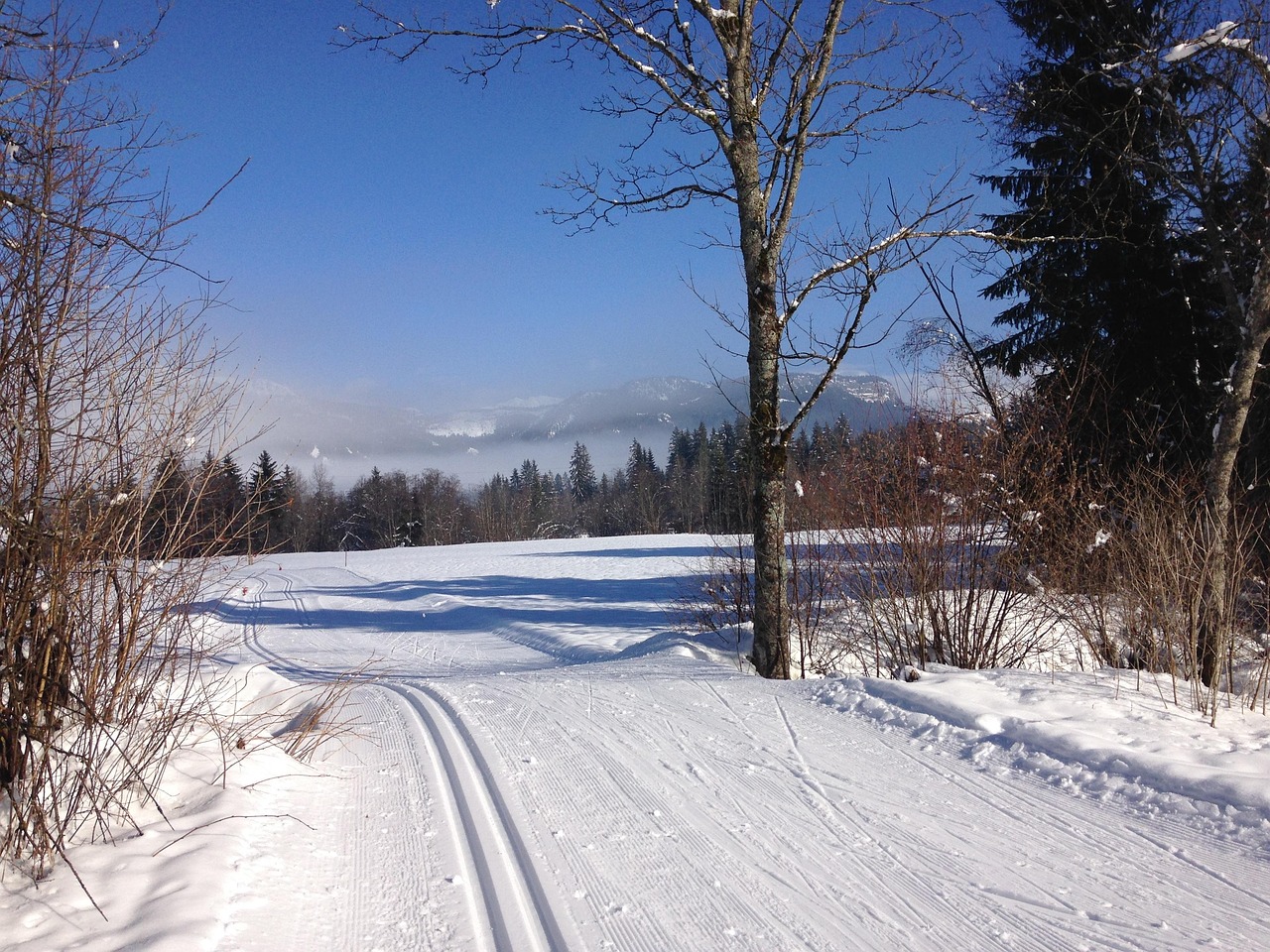 70+ Free Cross Country Running & Winter Images - Pixabay