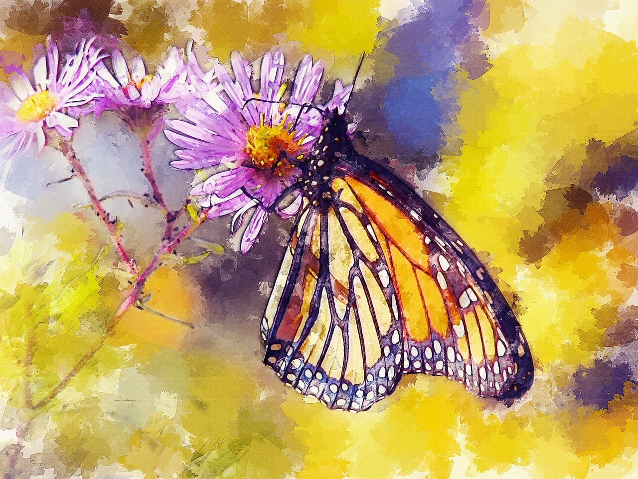 300+ Free Monarch Butterflies Flowers & Monarch Images - Pixabay