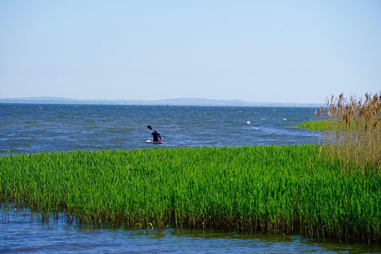Stettiner Haff Reed Canoe - Free photo on Pixabay - Pixabay
