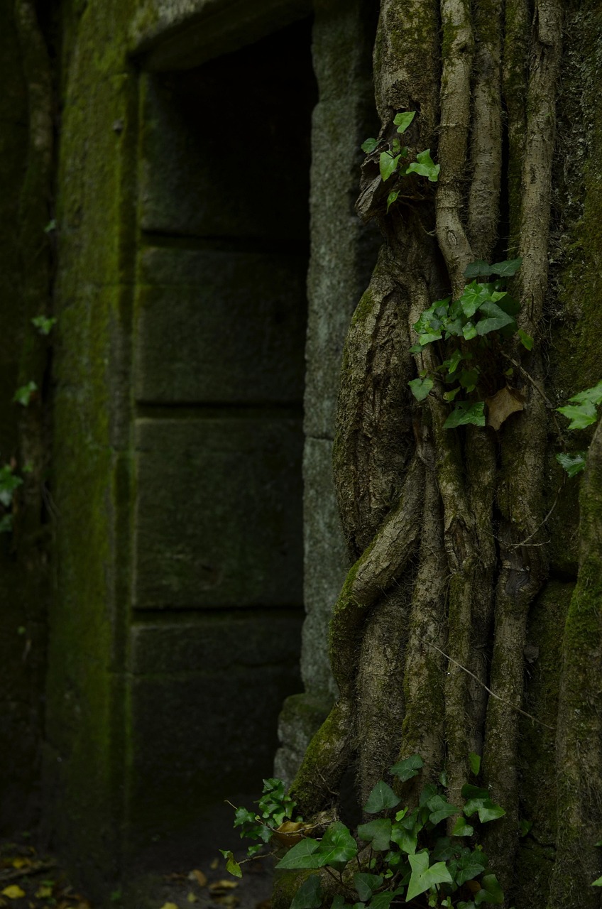 Nature Ruins Green - Free photo on Pixabay