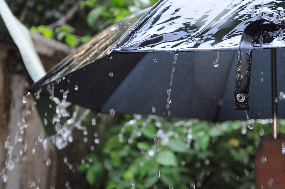 Water Umbrella - Free photo on Pixabay - Pixabay