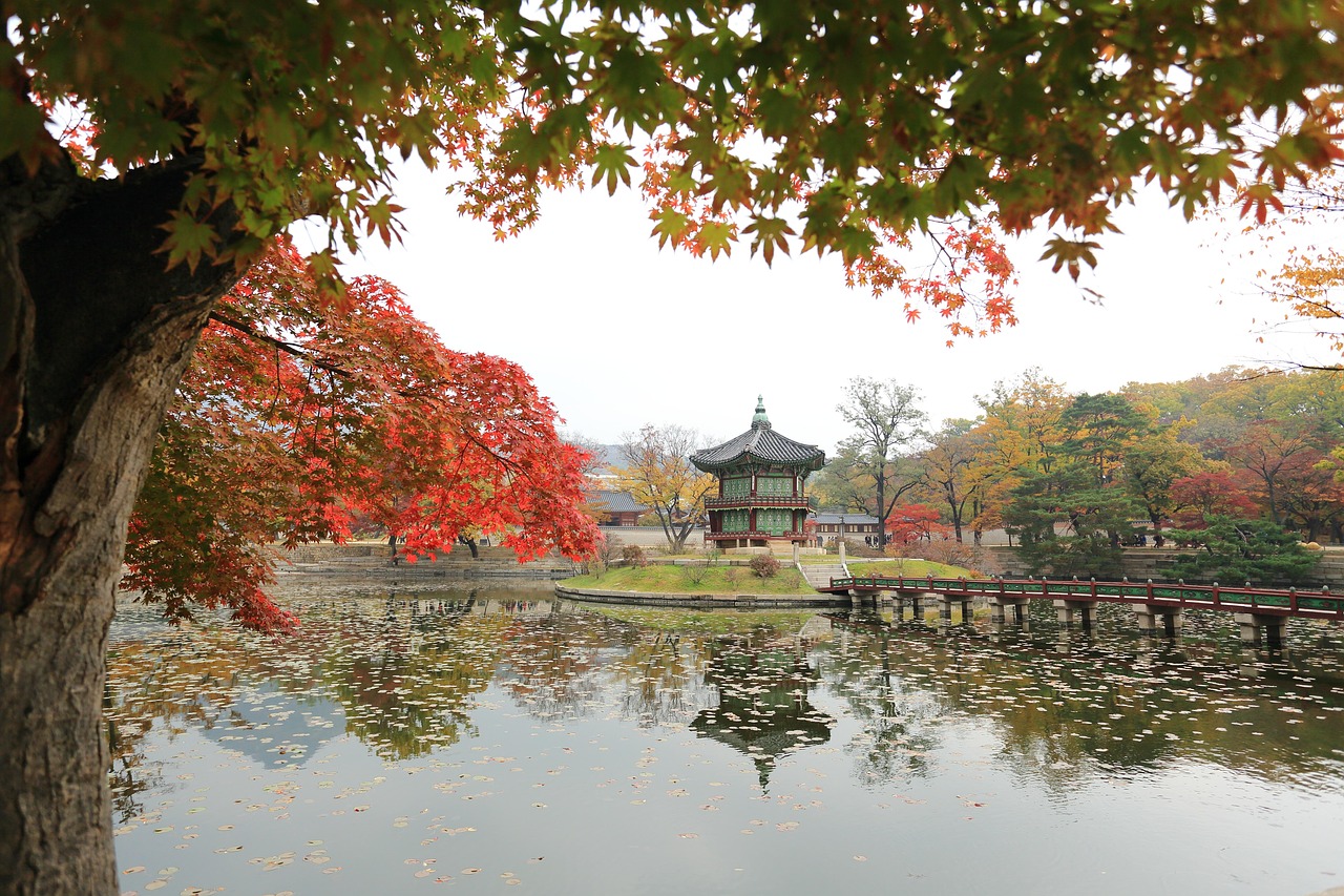 Gyeongbok Palace Towards The - Free photo on Pixabay