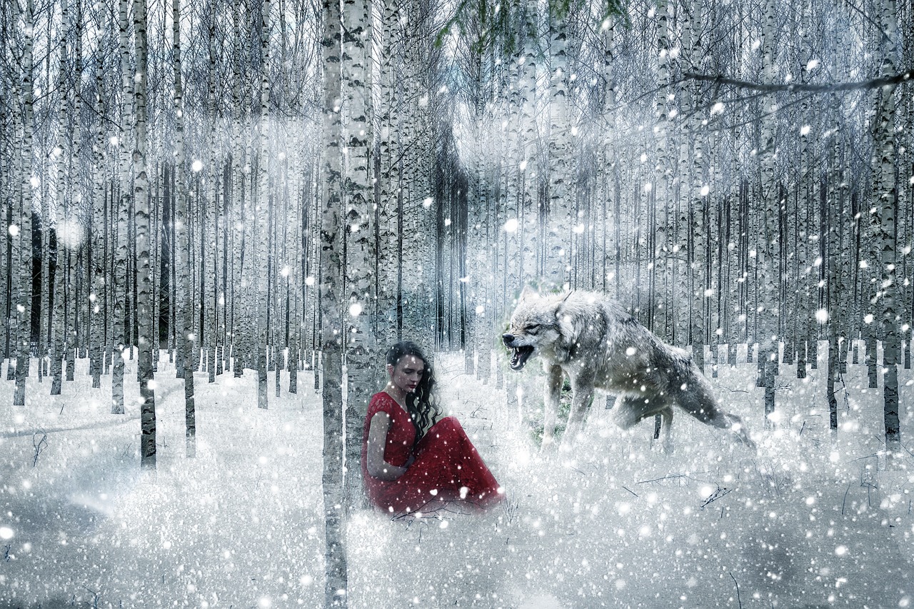 Little Red Riding Hood Wolf Forest - Free photo on Pixabay - Pixabay