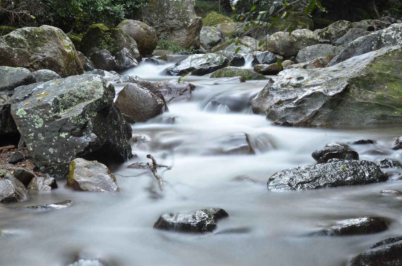Water River Natural - Free photo on Pixabay - Pixabay