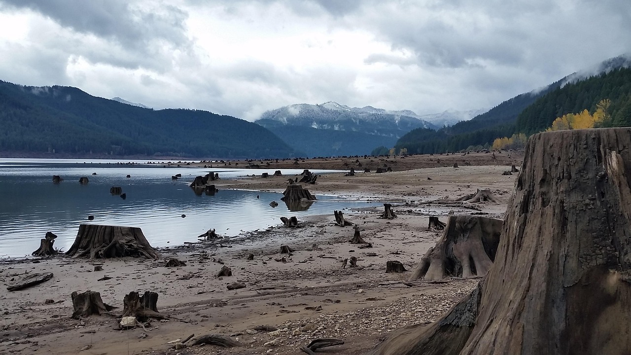 Detroit Lake Oregon Stubbe - Gratis foto på Pixabay - Pixabay