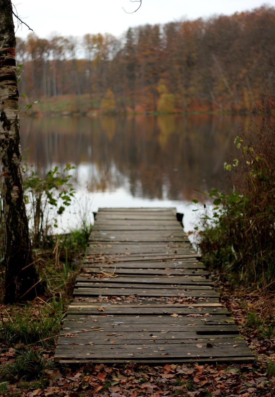 60+ Free Gold Bridge & Bridge Images - Pixabay