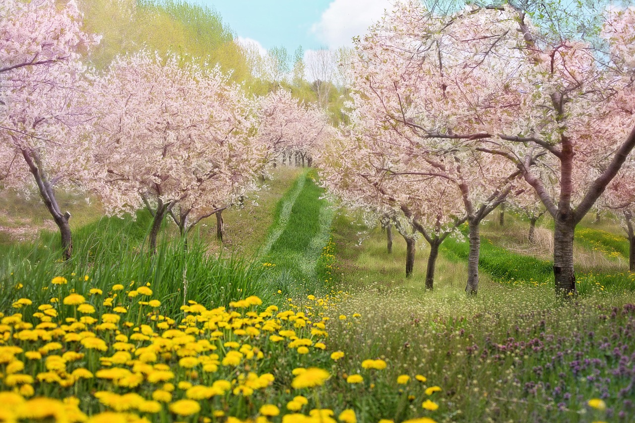 Más de 100 imágenes gratis de Paisajes Con Flores y Paisaje - Pixabay