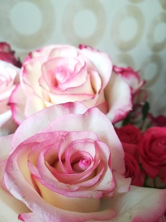 Fleurs Rose Bouquet - Photo gratuite sur Pixabay - Pixabay