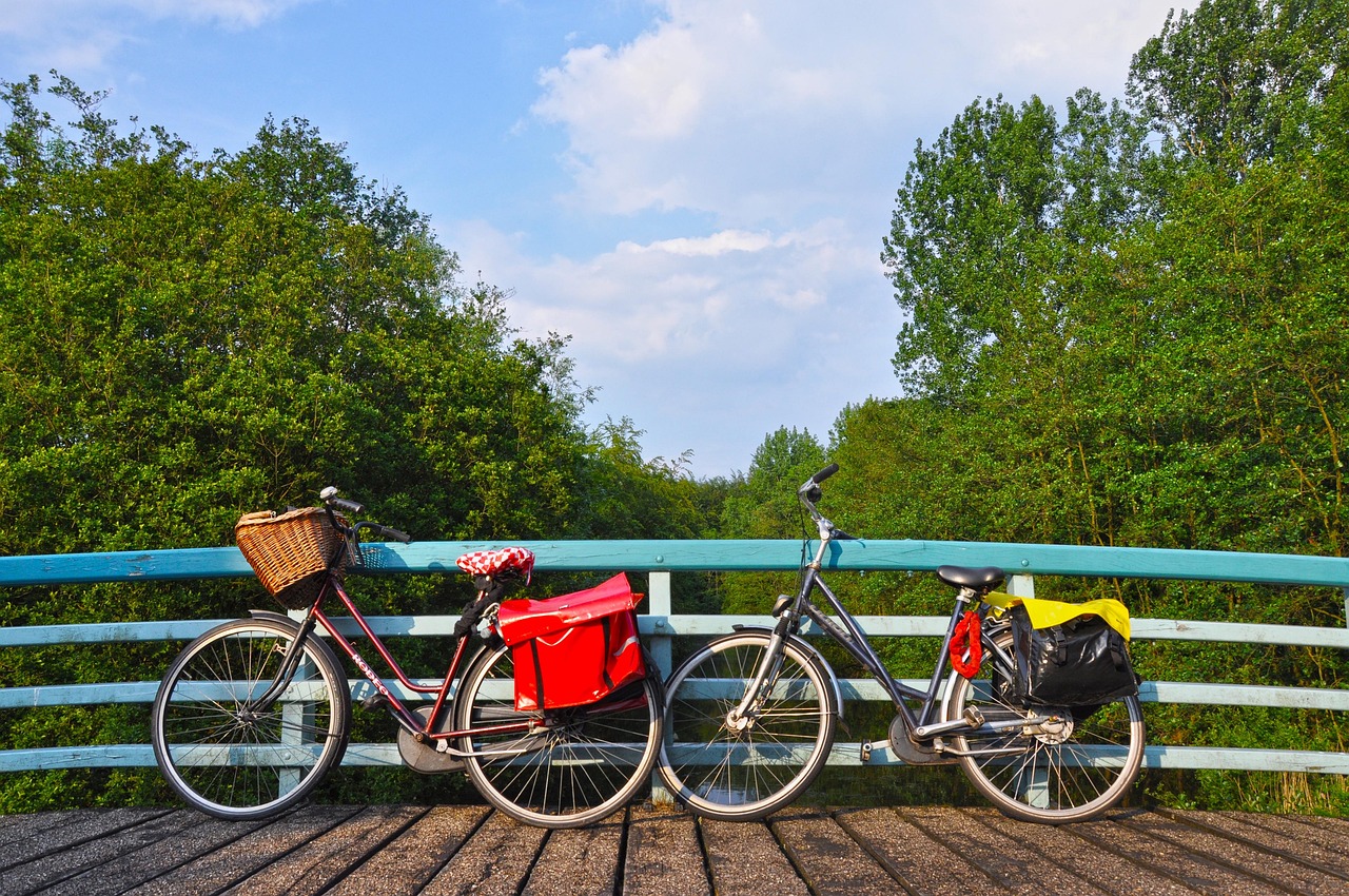 Bicycle Bike Vehicle - Free photo on Pixabay - Pixabay