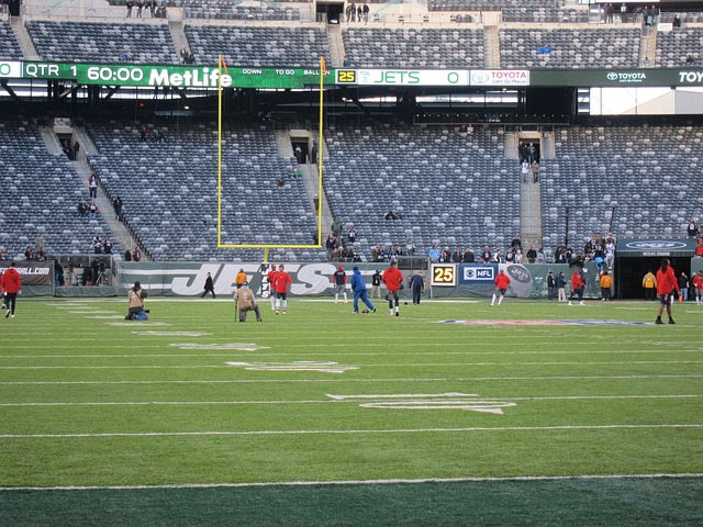 Metlife Stadium Football Field - Free photo on Pixabay