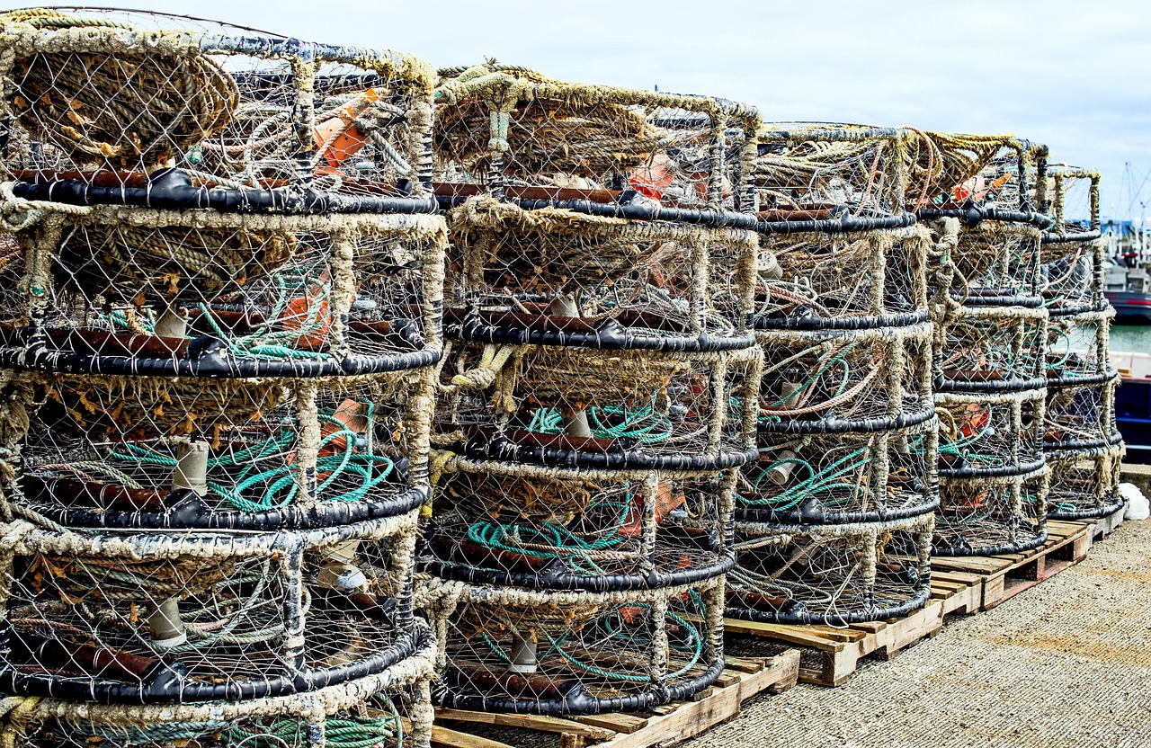 Westport Crab Pots Crabbing - Free photo on Pixabay - Pixabay