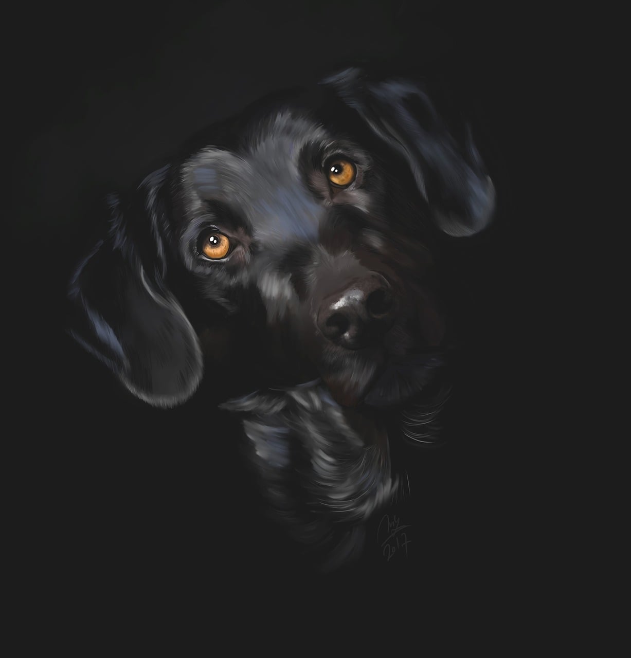 200+ kostenlose Labrador & Haustier Illustrationen - Pixabay
