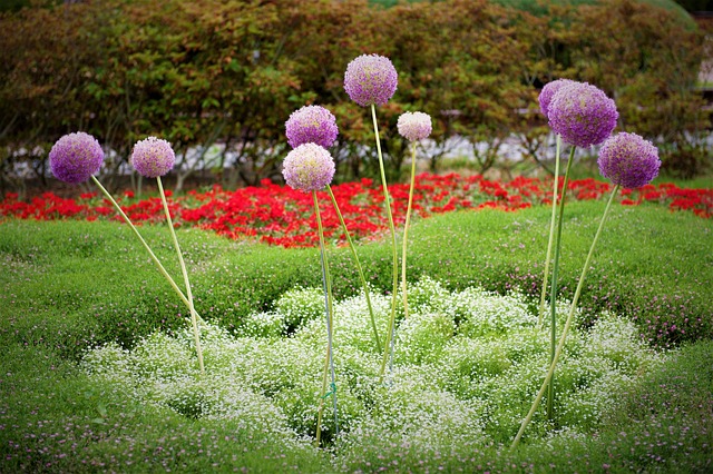 Fleurs Pics Jardin Paysage - Photo gratuite sur Pixabay - Pixabay