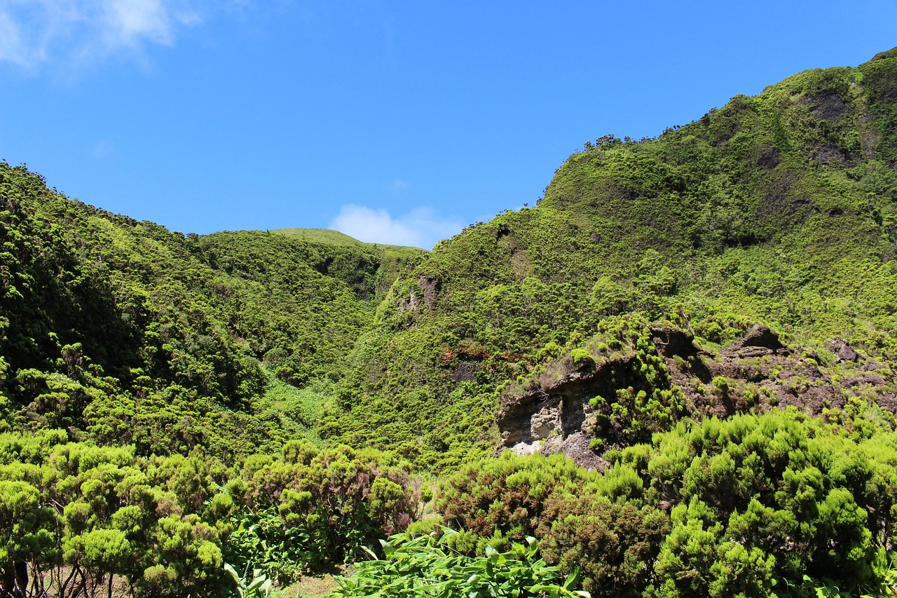 400+ Free Azores & Nature Images - Pixabay