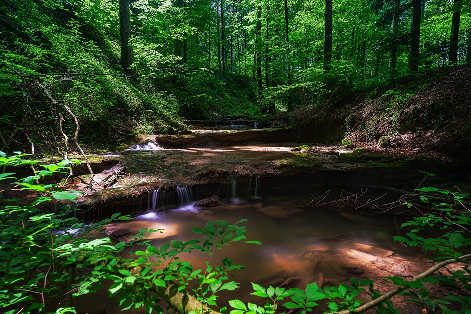 Nature Landscape Bach Long - Free photo on Pixabay