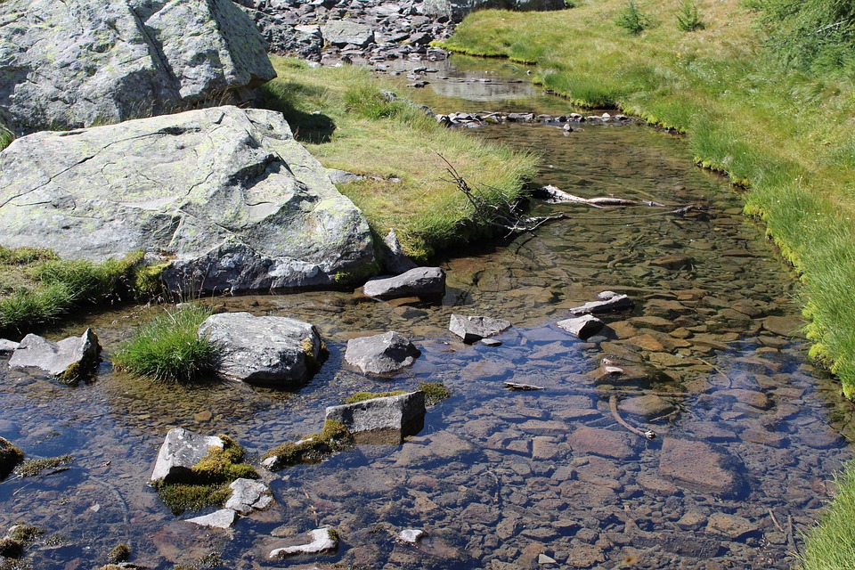 Eau Ruisseau Nature Cours - Photo gratuite sur Pixabay - Pixabay
