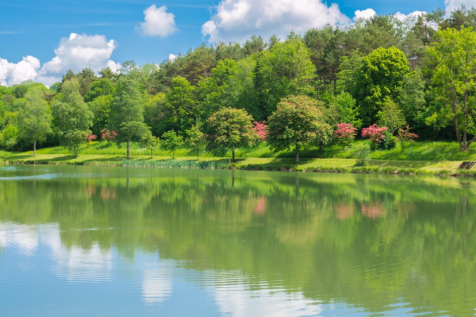 Lake Pond Water - Free photo on Pixabay