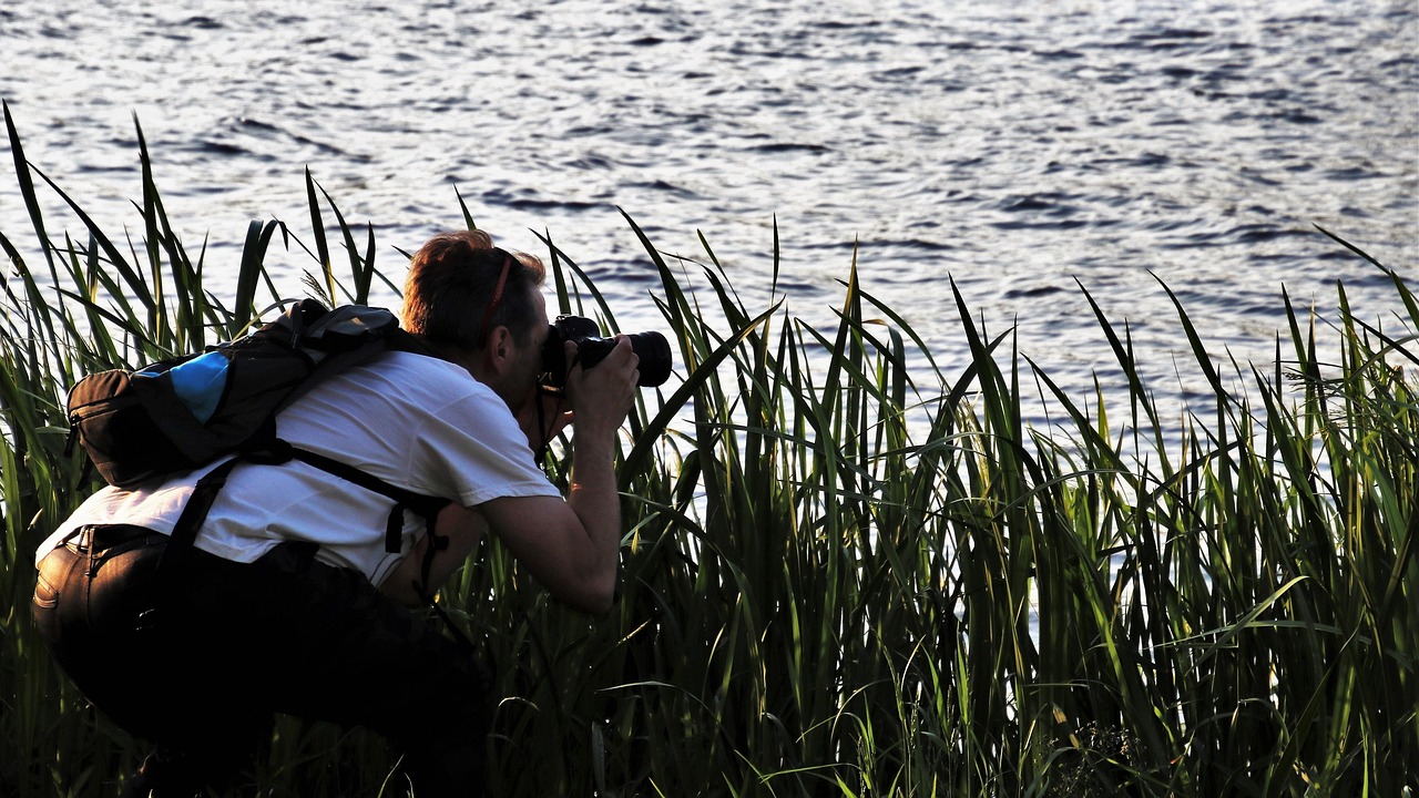 Pixabay Content License Summary – ZIMTMR