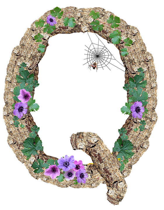 Alphabet Letter Q - Free photo on Pixabay - Pixabay