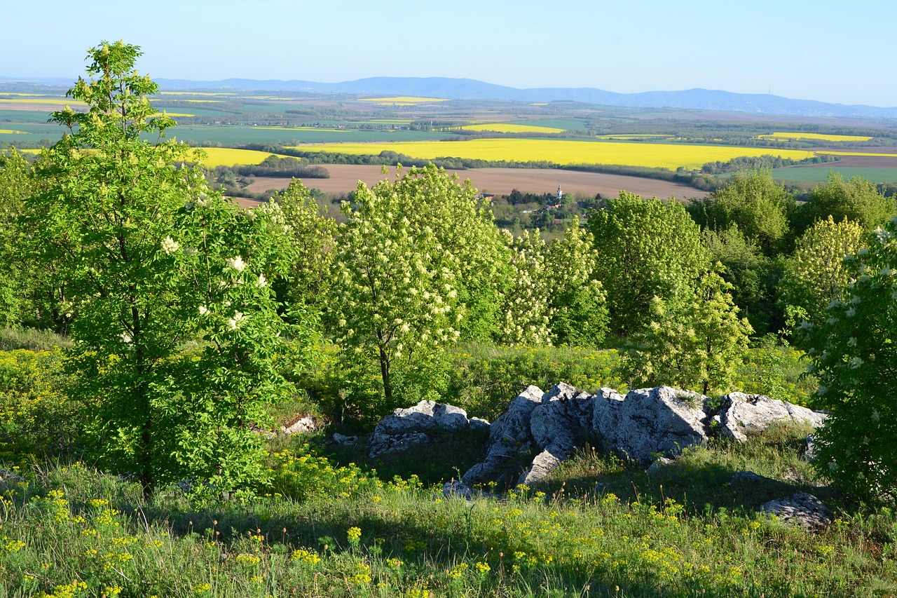 Landscape Baranya Villány - Free photo on Pixabay - Pixabay