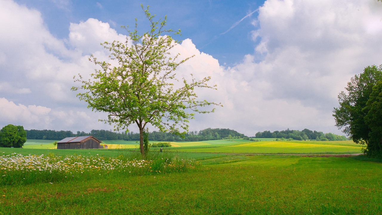 Landscape Meadow Trees - Free photo on Pixabay