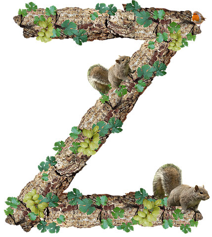 100+ Free Letter Z & Alphabet Images - Pixabay