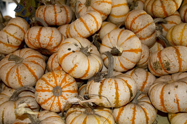 Citrouille Automne Saisonnier - Photo gratuite sur Pixabay - Pixabay