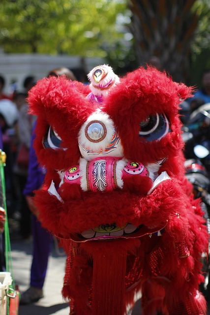 Liong Dragon Culture - Free photo on Pixabay
