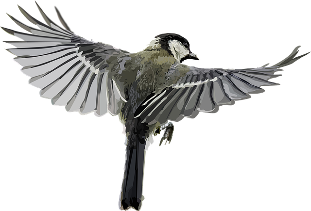 Zwierzę Ptak - Darmowa grafika wektorowa na Pixabay - Pixabay