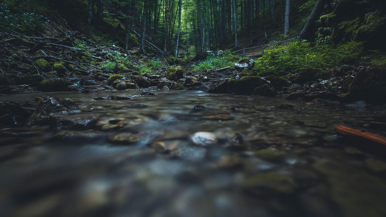 Water Flow Bach - Free photo on Pixabay - Pixabay