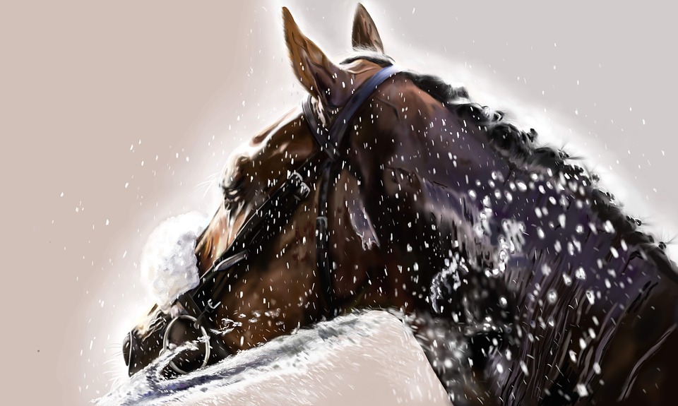Pferd Tier Schnee - Kostenloses Bild auf Pixabay