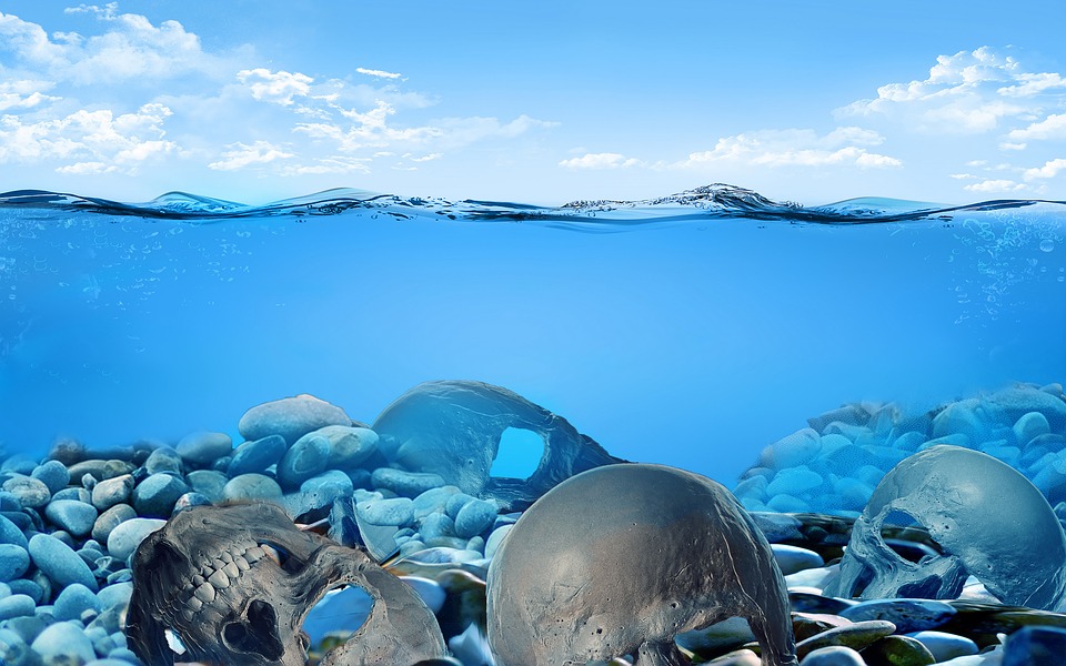 Sea Ocean Skull - Free photo on Pixabay - Pixabay