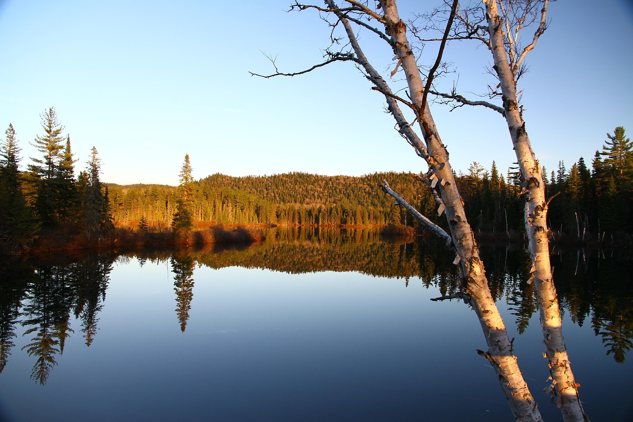 Lake Calmed Down Landscape - Free photo on Pixabay - Pixabay