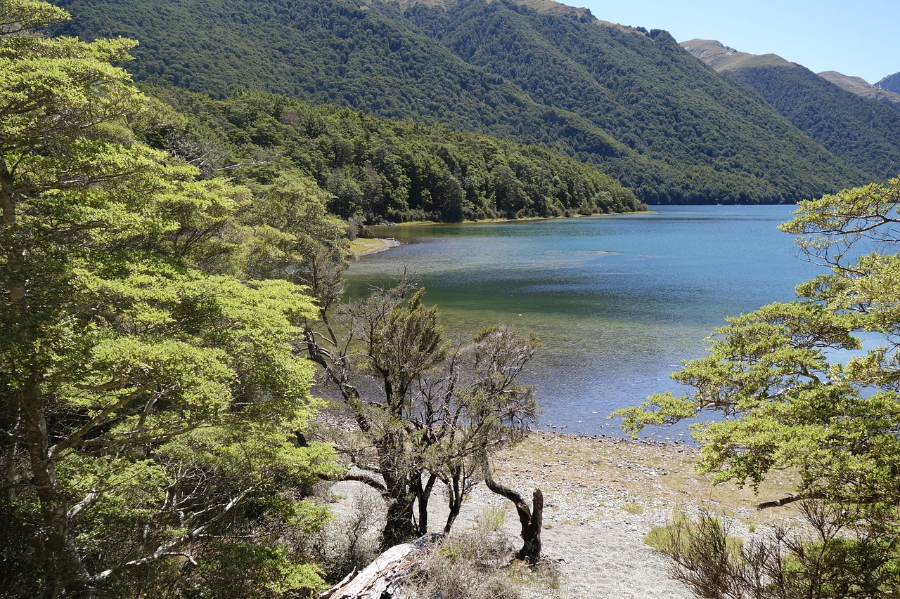 Nueva Zelanda Isla Del Sur - Foto gratis en Pixabay - Pixabay
