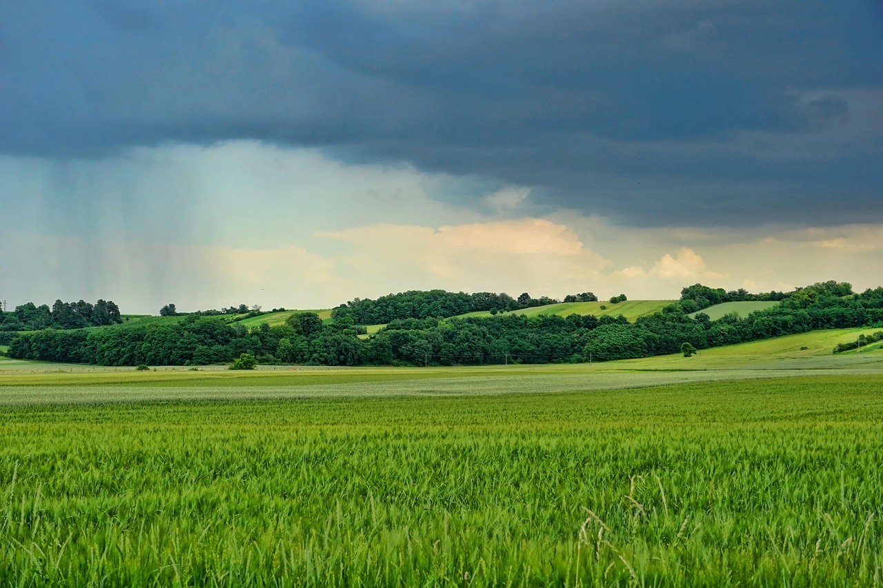 Plus de 100 000 photos gratuites de Vert et de Nature - Pixabay