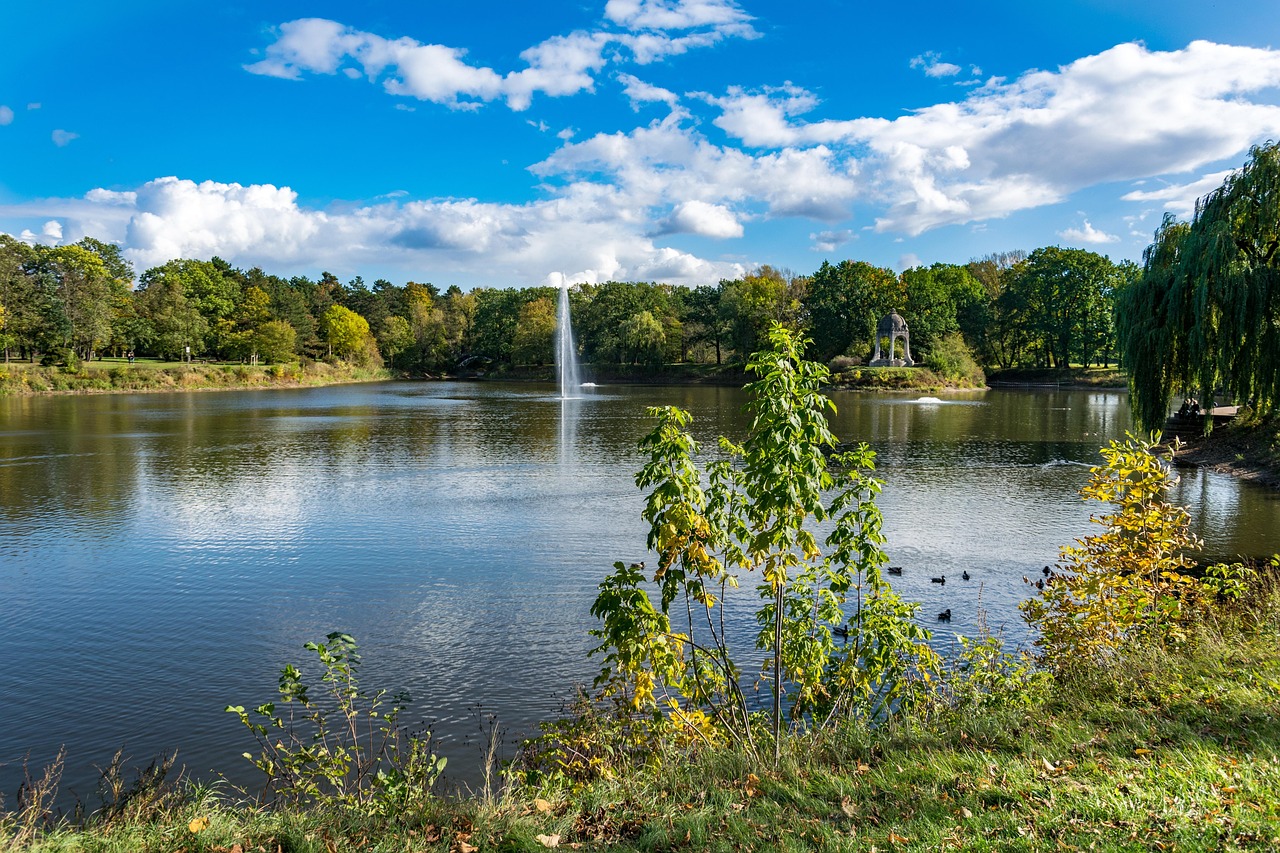 Lake Park Magdeburg - Free photo on Pixabay - Pixabay