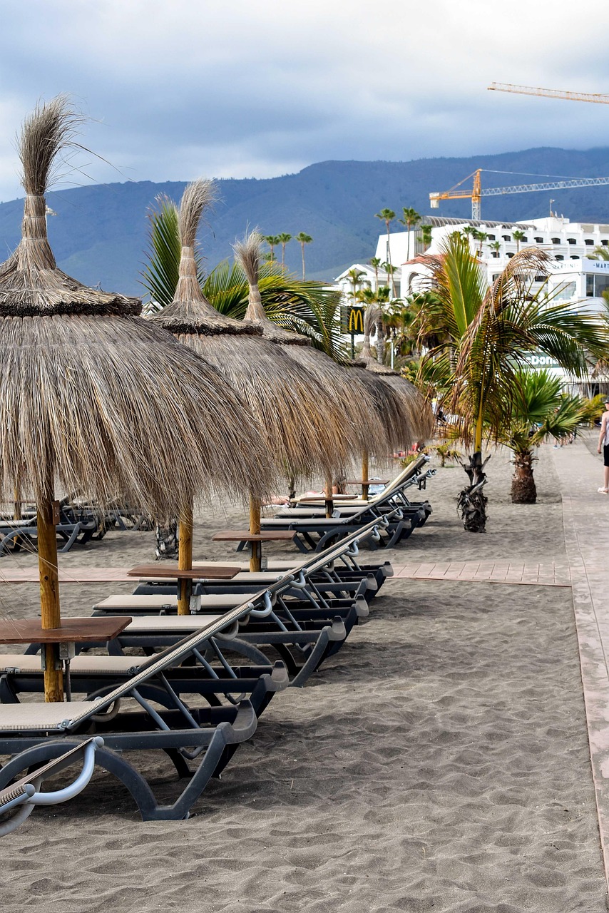 Teneriffa Palm Strand Schwarzer - Kostenloses Foto auf Pixabay - Pixabay