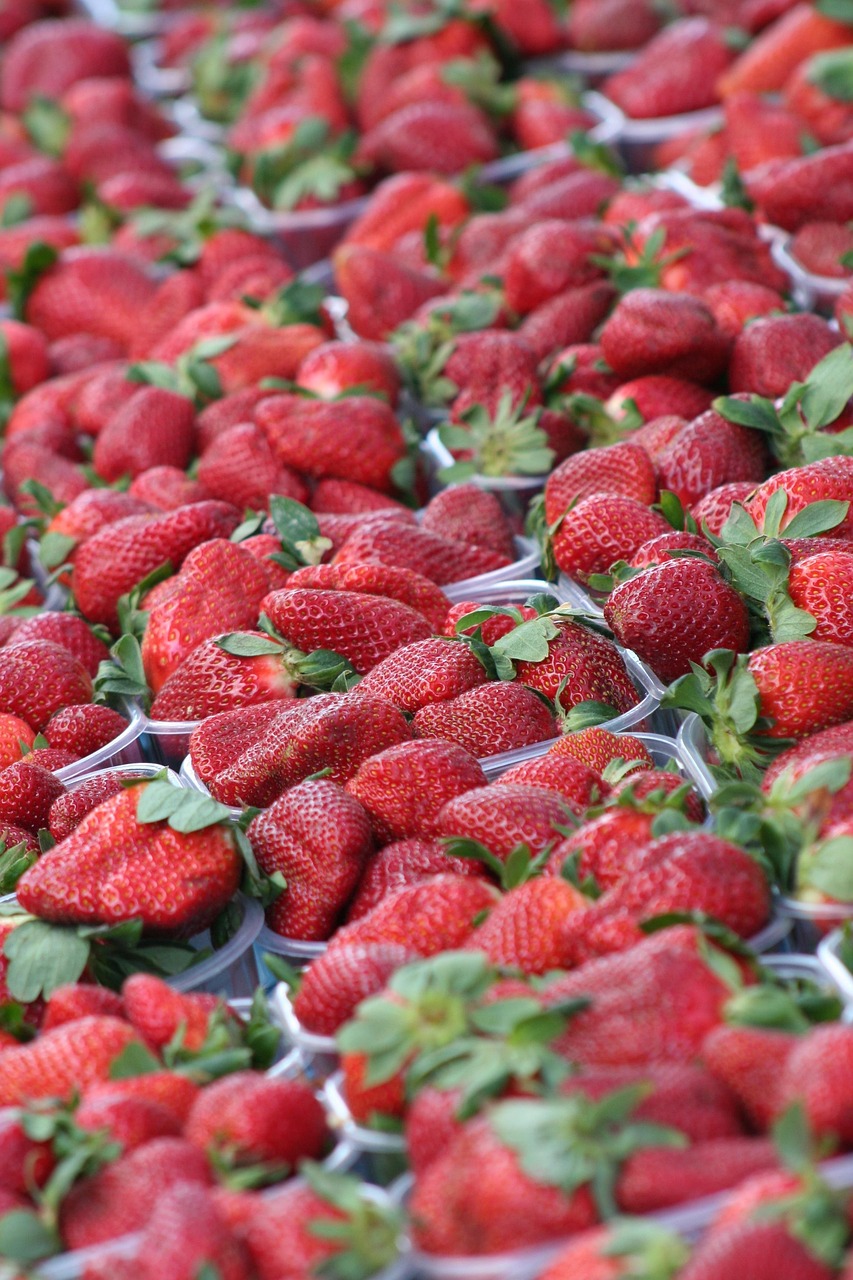Strawberries Market Summer - Free photo on Pixabay