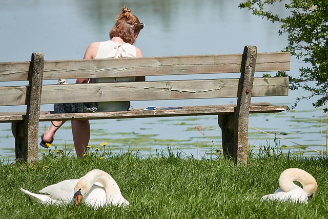 Swan Bank Woman - Free photo on Pixabay - Pixabay