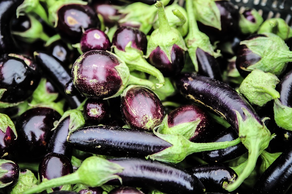Aubergine Farm Vegetable - Free photo on Pixabay - Pixabay