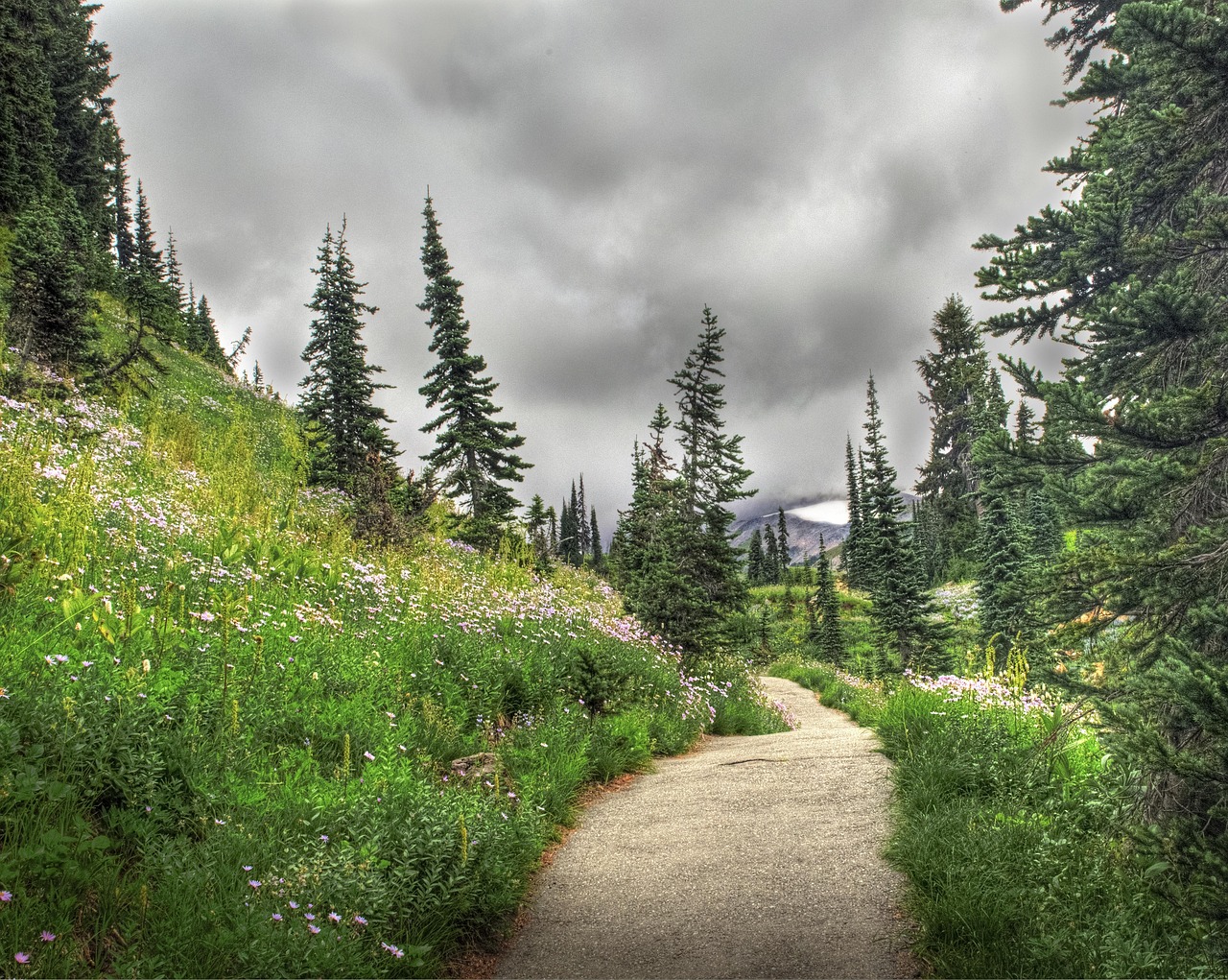 Walking In Paradise Trail - Free photo on Pixabay - Pixabay