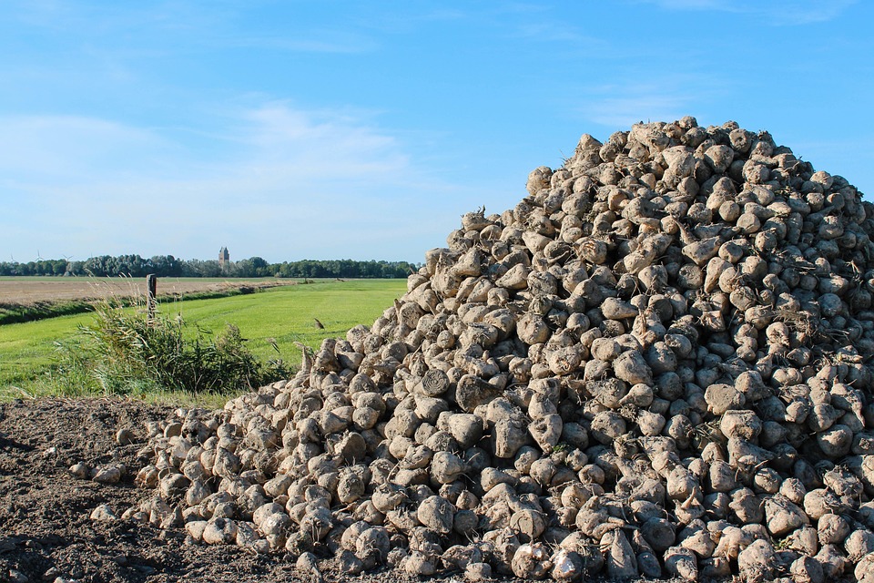 Countryside Friesland Fryslan - Free photo on Pixabay