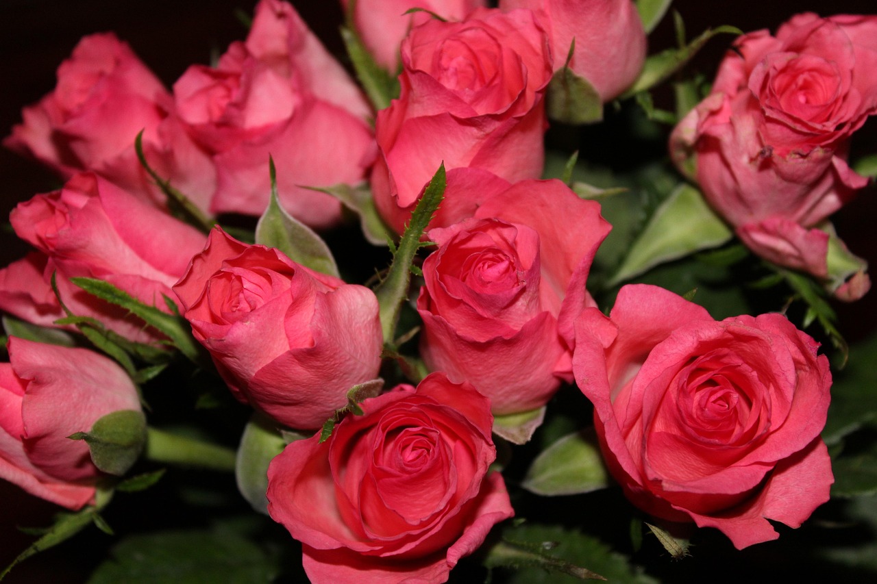 Ramo De Rosas Rosadas Rosa - Foto gratis en Pixabay - Pixabay