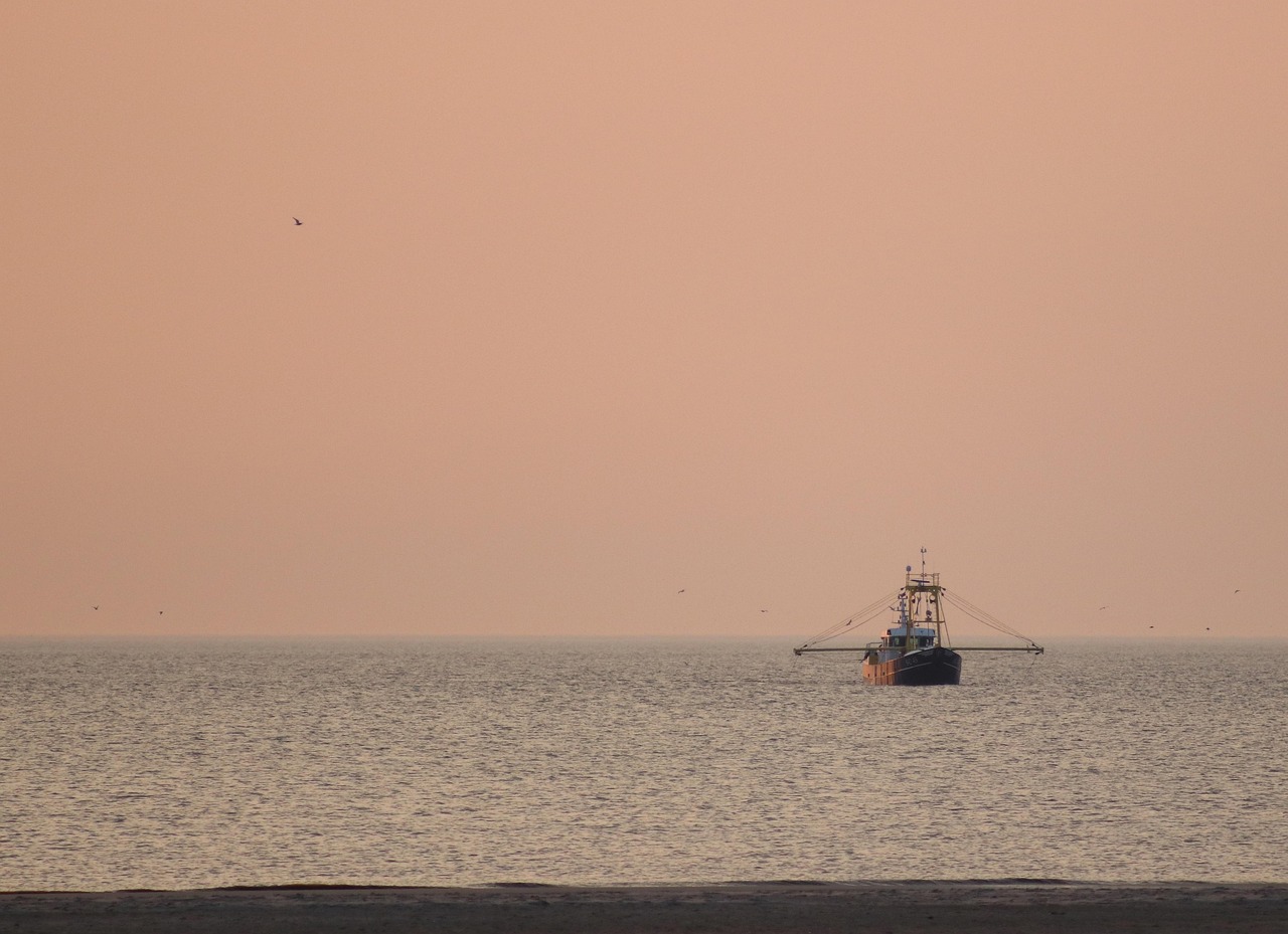 Fisherman Sea Watt - Free photo on Pixabay - Pixabay