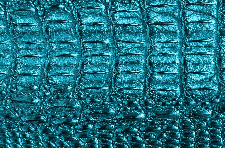 Texture Écaille Couleur - Photo gratuite sur Pixabay - Pixabay