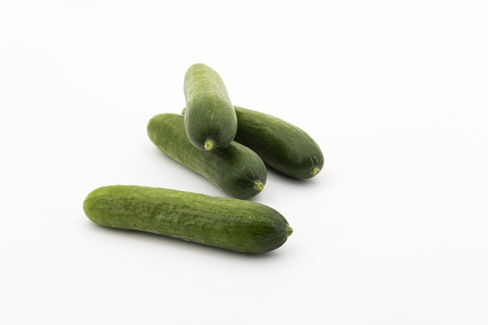 Gurke Gartengurke Salatgurke - Kostenloses Foto auf Pixabay